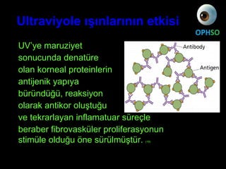 Pterjium patogenez | PPT