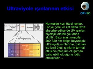 Pterjium patogenez | PPT