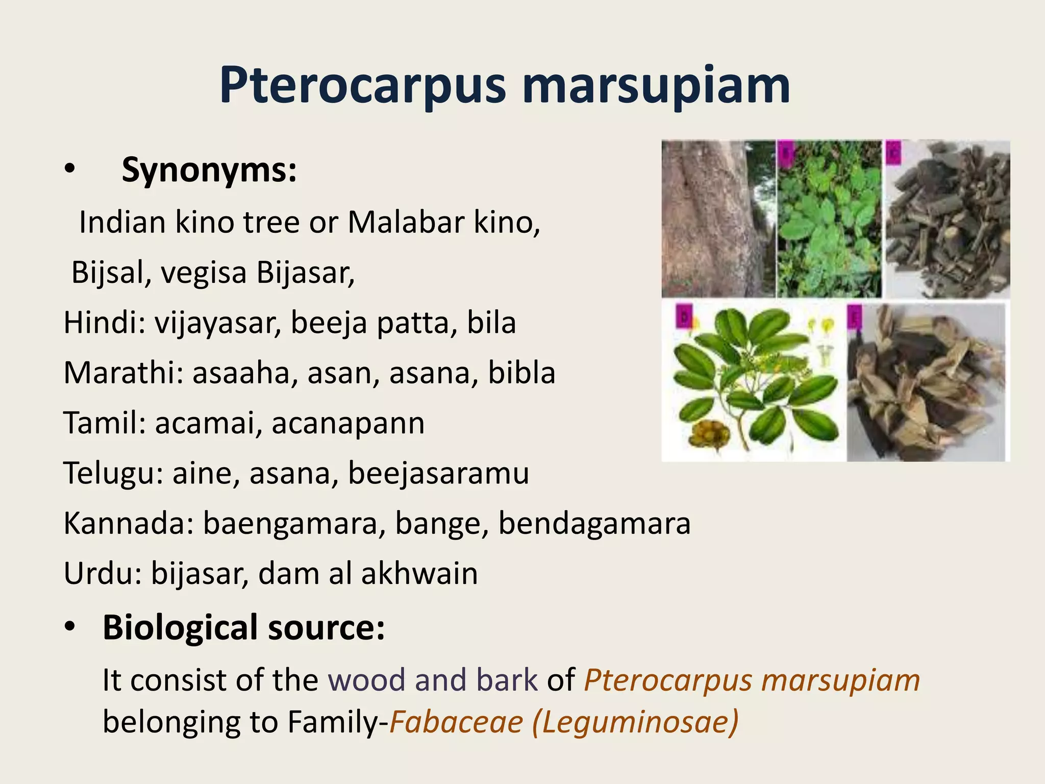 Pterocarpus marsupiam in medicinal chemistry | PPTX