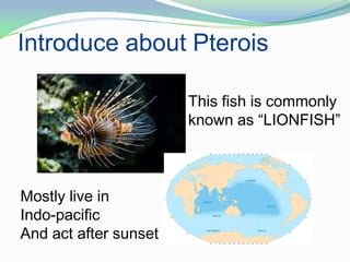 Pterois | PPT