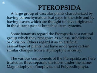 Pteropsida | PPTX
