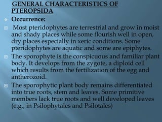 Pteropsida | PPTX