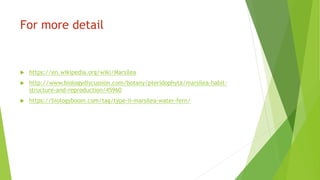 Pteropsida Genus Marsilea | PPT