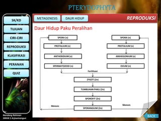 Pterydophyta revisi | PPT