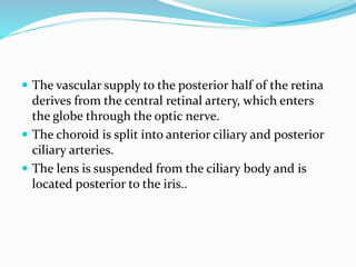 Pterygium | PPTX