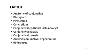 Pterygium- Degenerative disorder of Conjunctiva - Dr. Prabhat Devkota.pptx