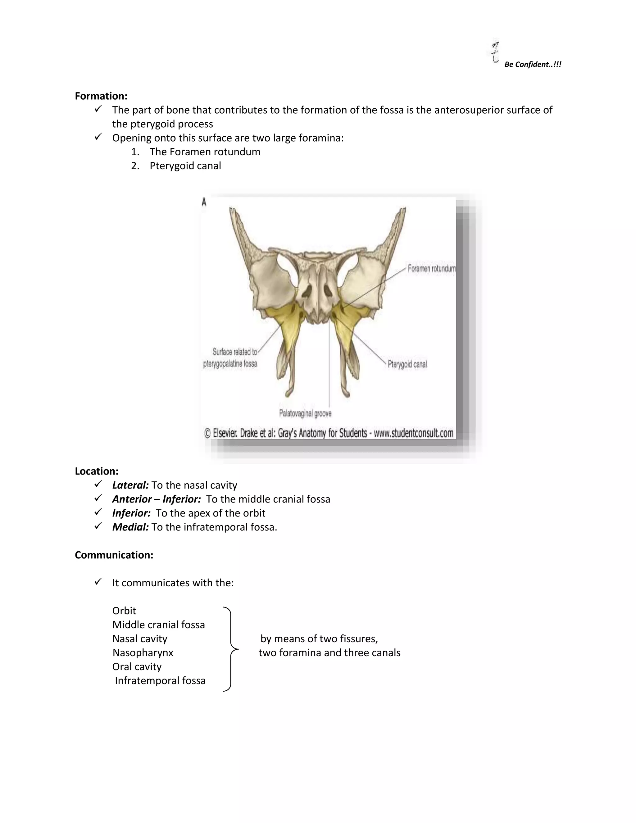 Pterygopalatine fossa | DOCX