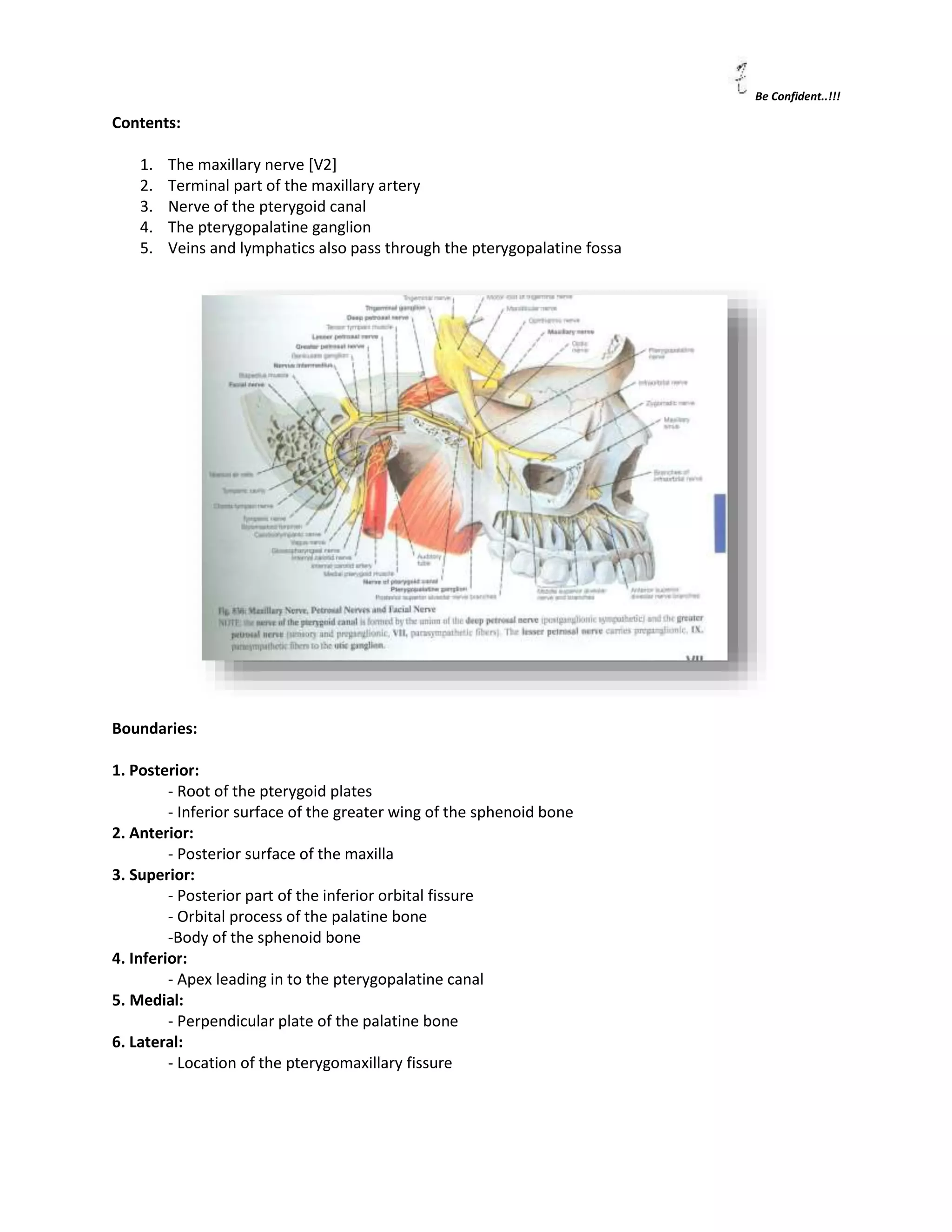 Pterygopalatine fossa | DOCX