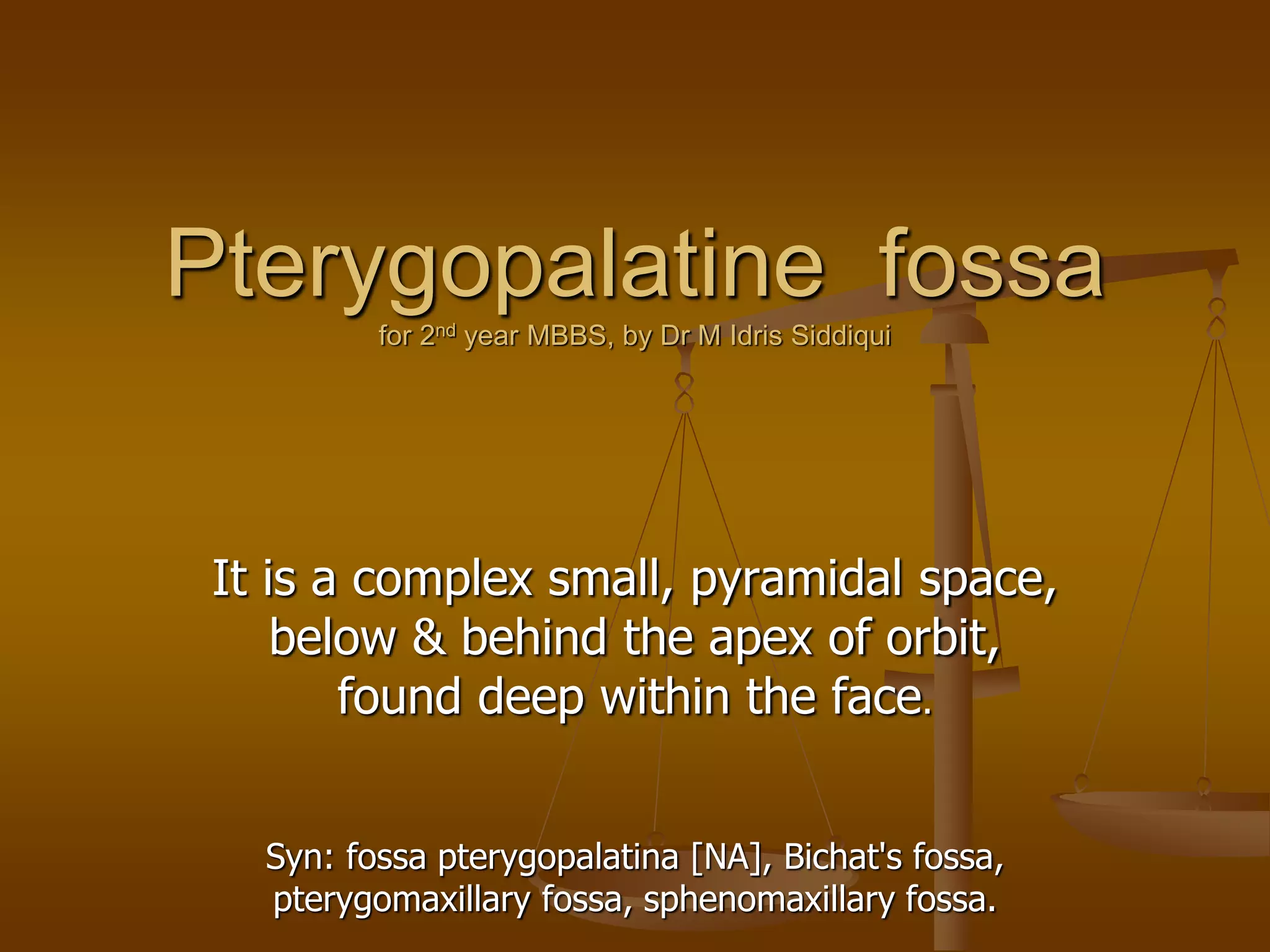 pterygopalatinefossa anatomy | PDF