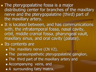 pterygopalatinefossa anatomy | PDF