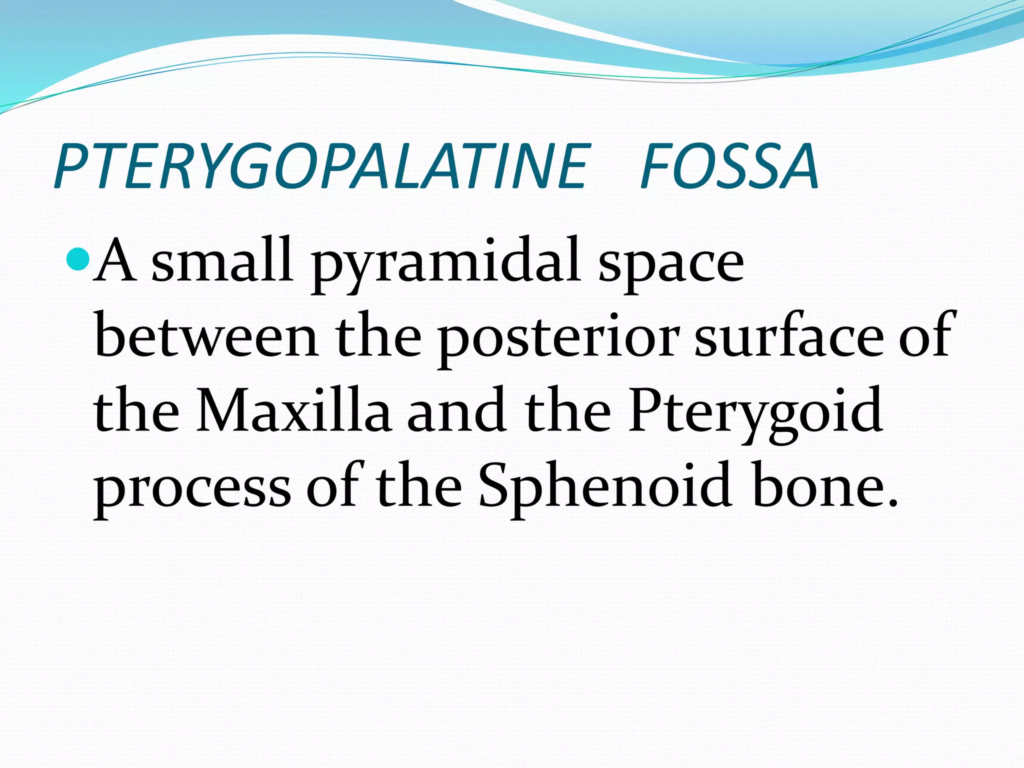 Pterygopalatine fossa | PPTX