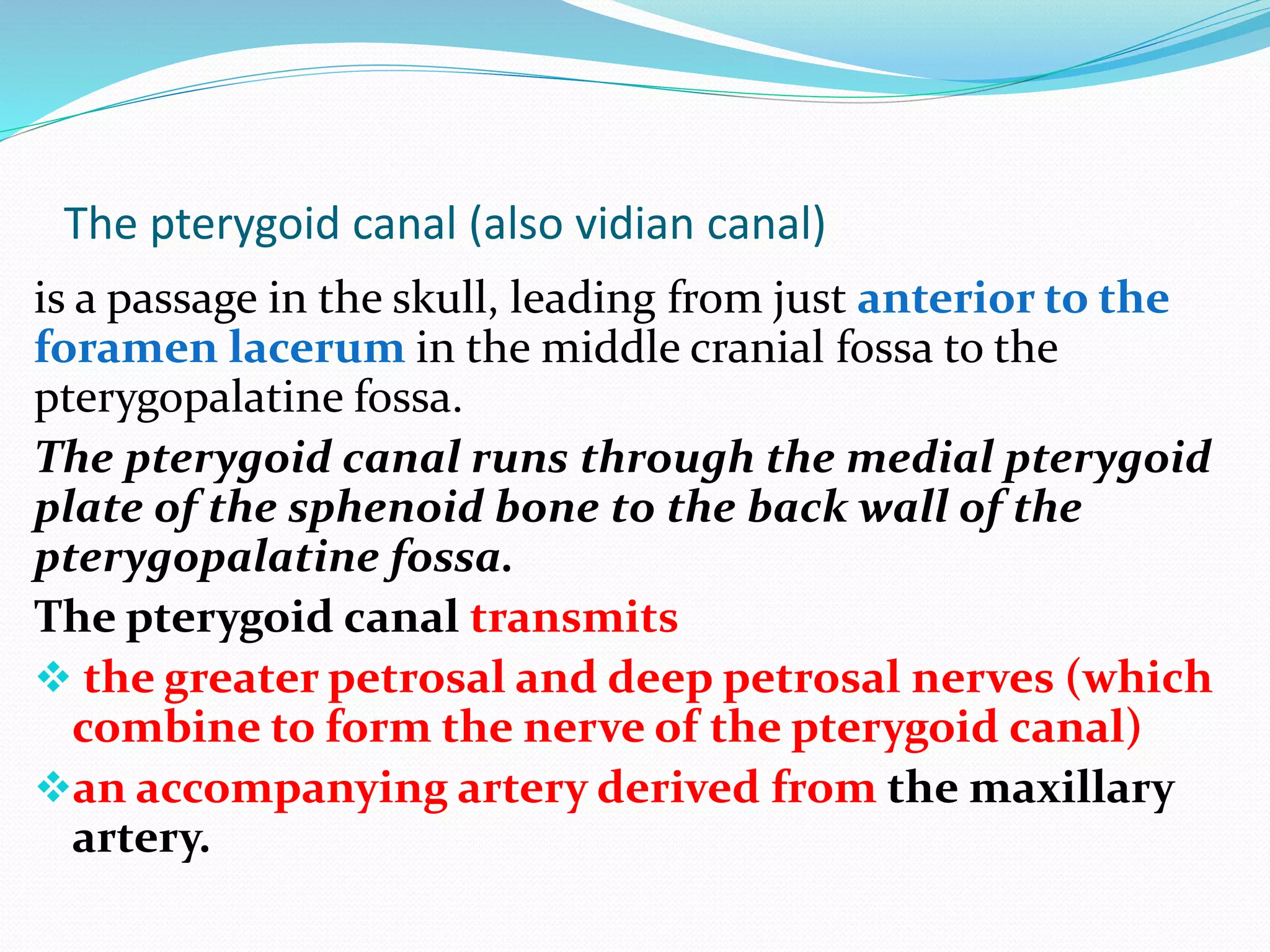 Pterygopalatine fossa.pptx