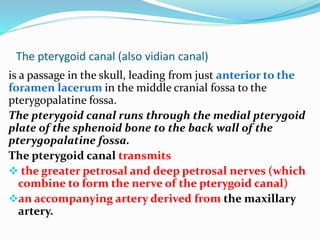 Pterygopalatine fossa.pptx