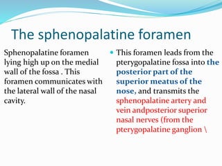 Pterygopalatine fossa.pptx
