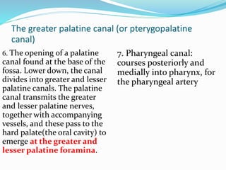 Pterygopalatine fossa.pptx