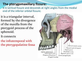 Pterygopalatine fossa.pptx
