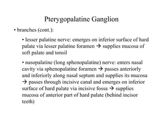 Pterygopalatine fossa.ppt