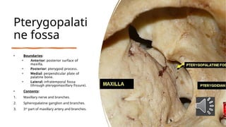 PTERYGOPALATINE FOSSA Anatomy of Head and Neck | PPSX