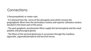 PTERYGOPALATINE FOSSA and maxillary nerve | PPTX
