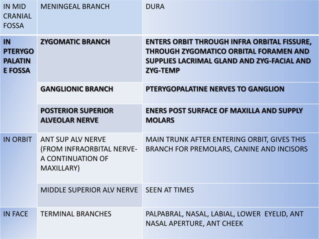 Pterygopalatine fossa and approaches by Dr.Ashwin Menon | PPTX | Ear ...