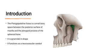 pterygopalatine_fossa_and_its_approachs[1].pdf