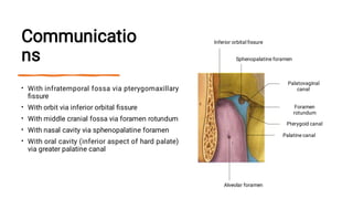 pterygopalatine_fossa_and_its_approachs[1].pdf
