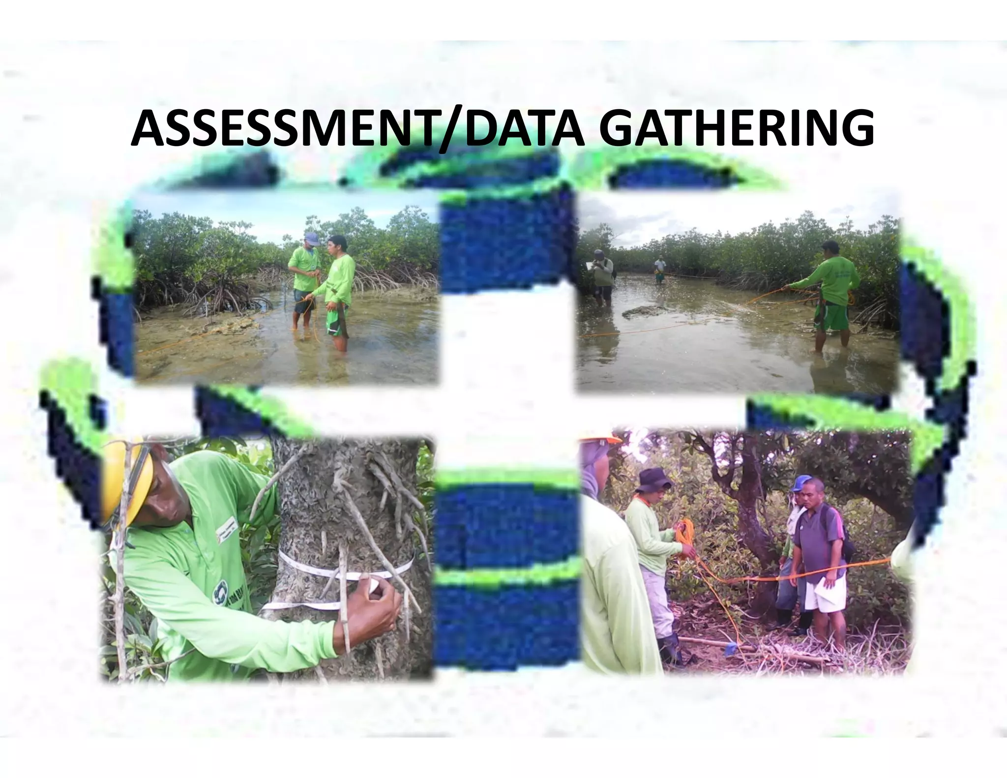 PTFCF: Rapid Community-Based Mangrove and Beach Forest Assessment ...