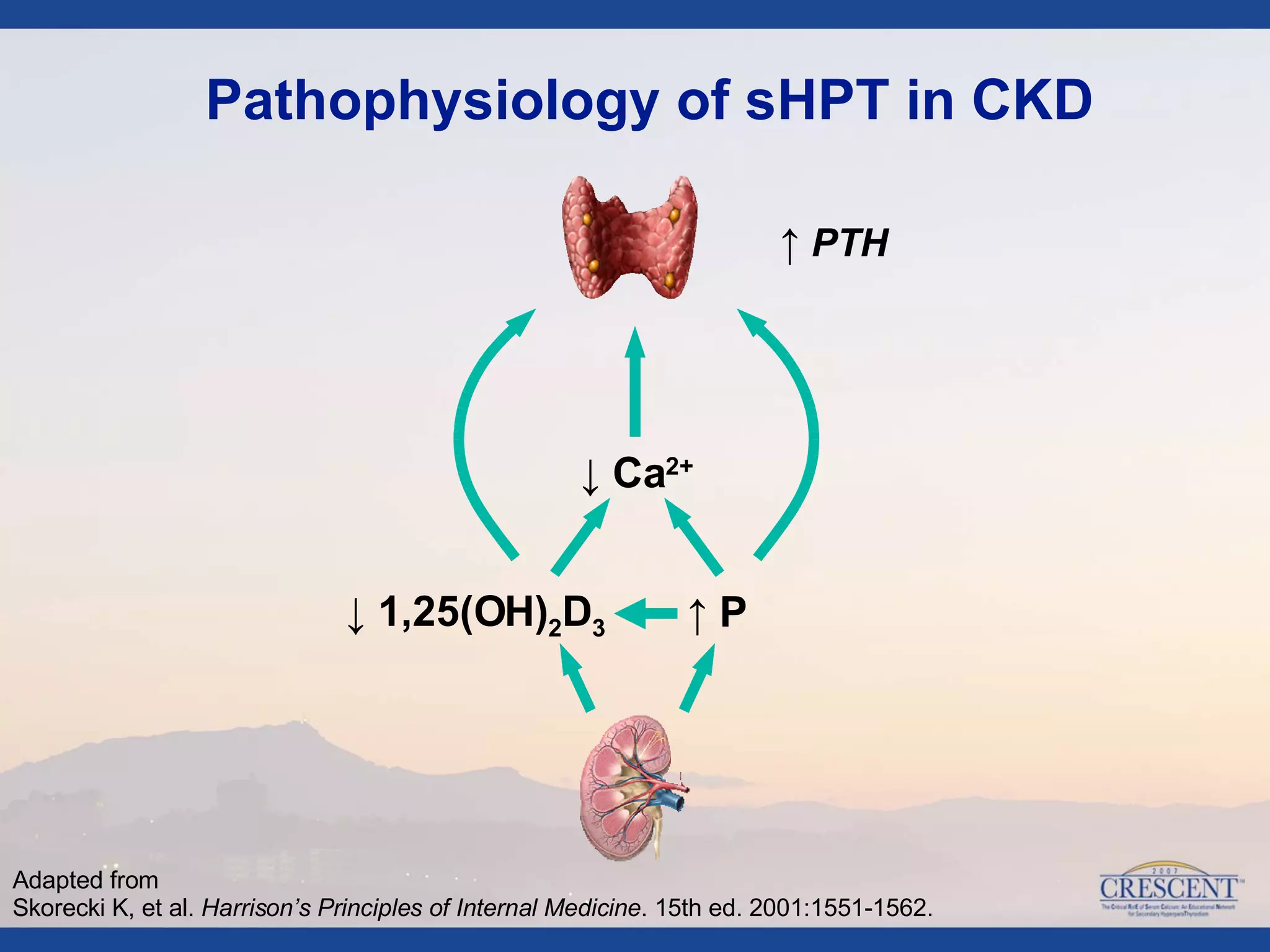 PTH - Chronic Renal Failure | PPT