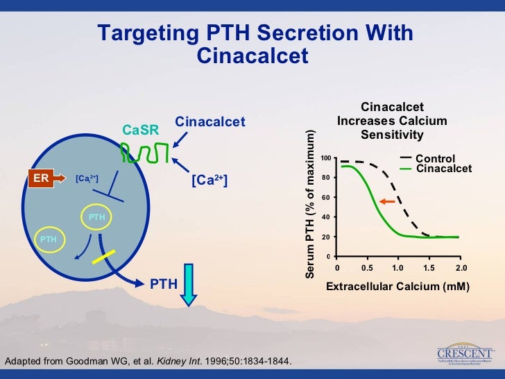 Cinacalcet - Pictures