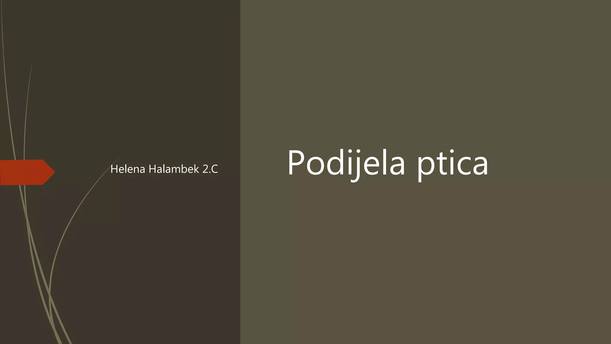 Podijela ptica | PPTX