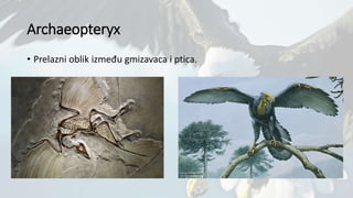 Ptice | PPTX