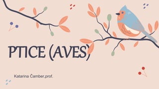 ptice.pptx