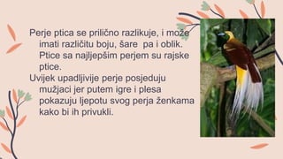 ptice.pptx