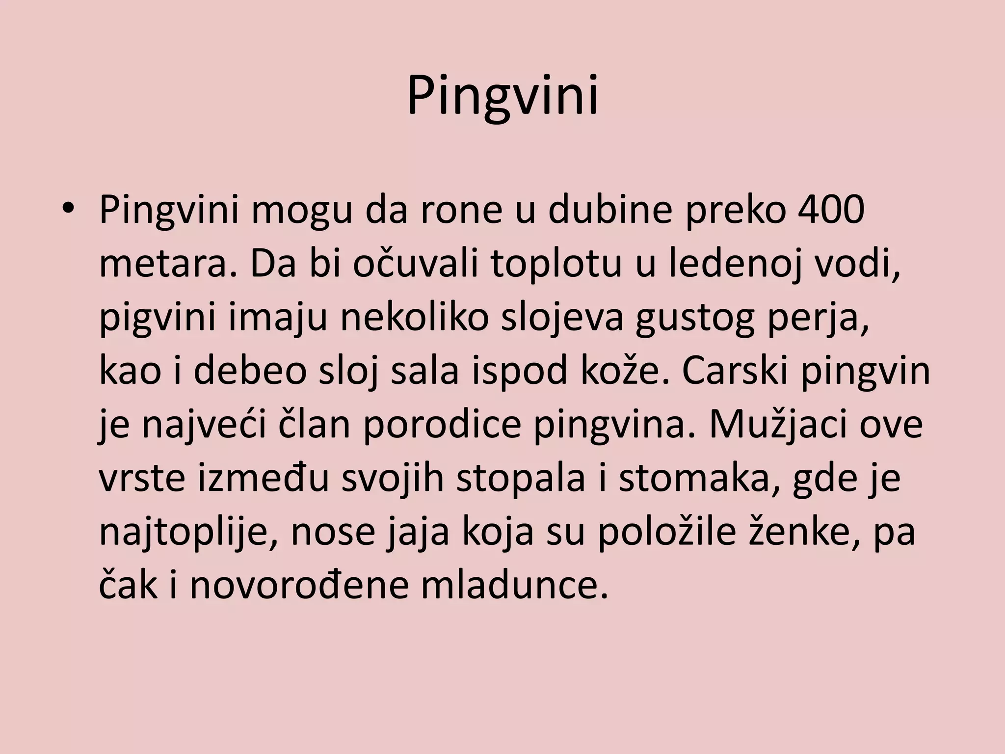 Ptice prezentacija 6.razred | PPTX