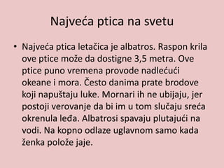Ptice prezentacija 6.razred | PPTX
