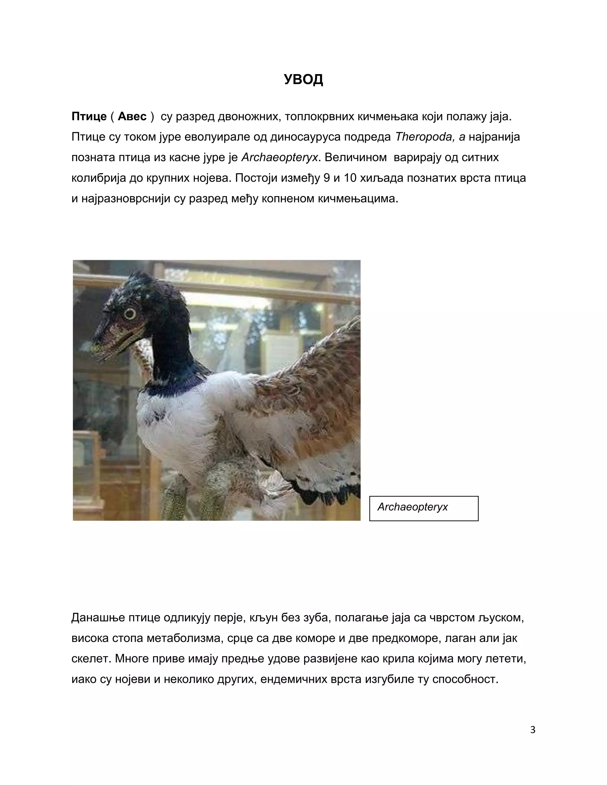 Ptice (Aves) | DOCX