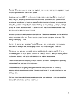 Ptice (Aves) | DOCX