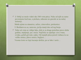 Ptice našeg kraja | PPT