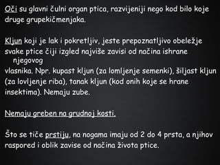 Ptice neletacice | PPT