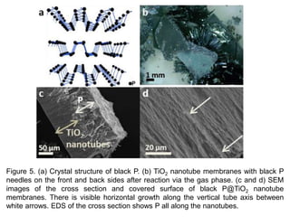 Vapor Deposition of Semiconducting P Allotropes into TiO2 Nanotube ...