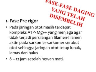 pengolahan daging | PPTX