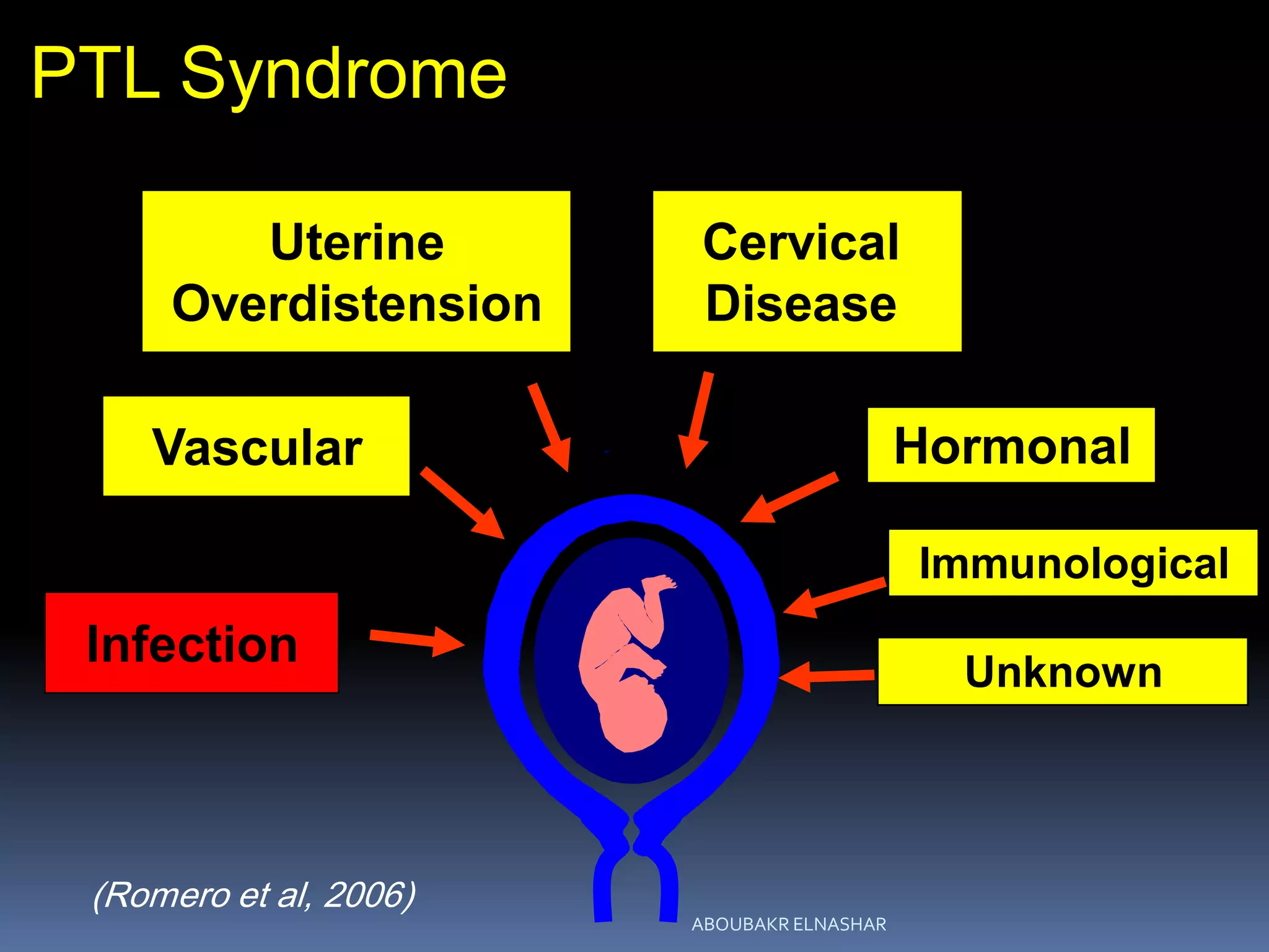 Prevention of infection-Related Preterm Birth | PPT