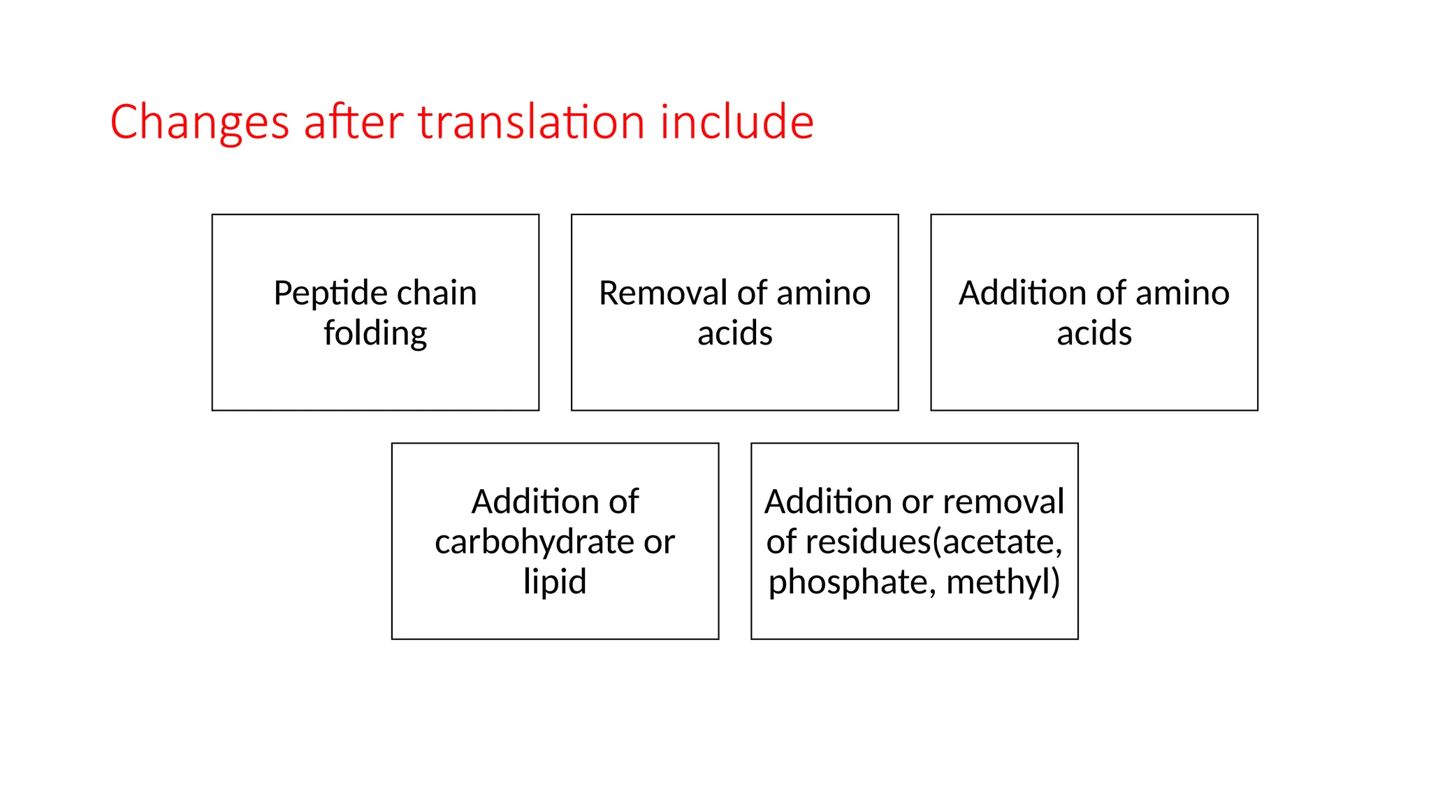 Post Translational Modifications Notes Pptx