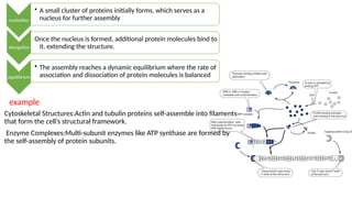 Post -translational modifications notes. | PPTX