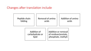 Post -translational modifications notes. | PPTX
