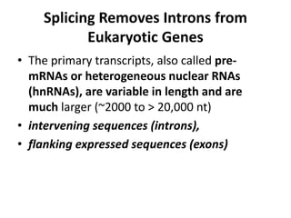 POST TRANSCRIPTIONAL MODIFICATIONS IN EUKARYOTES | PPTX