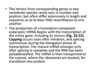 POST TRANSCRIPTIONAL MODIFICATIONS IN EUKARYOTES | PPTX