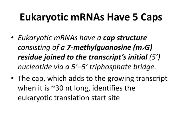 POST TRANSCRIPTIONAL MODIFICATIONS IN EUKARYOTES | PPTX
