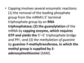 POST TRANSCRIPTIONAL MODIFICATIONS IN EUKARYOTES | PPT