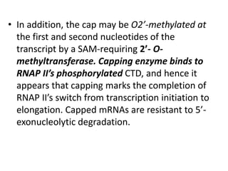 POST TRANSCRIPTIONAL MODIFICATIONS IN EUKARYOTES | PPTX